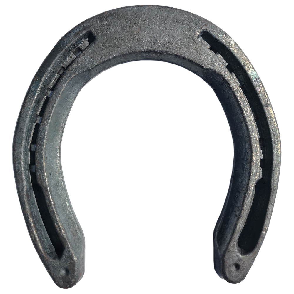 Alpha Graduated Hind Horseshoes Buy at TFP Ltd