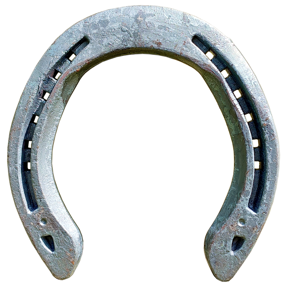 Alpha Ultra Hind Horseshoe's Buy at TFP Ltd
